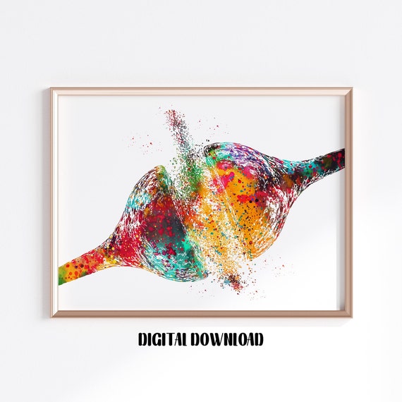 Human Nerve Cell Synapse Receptor Brain Neurology - Etsy