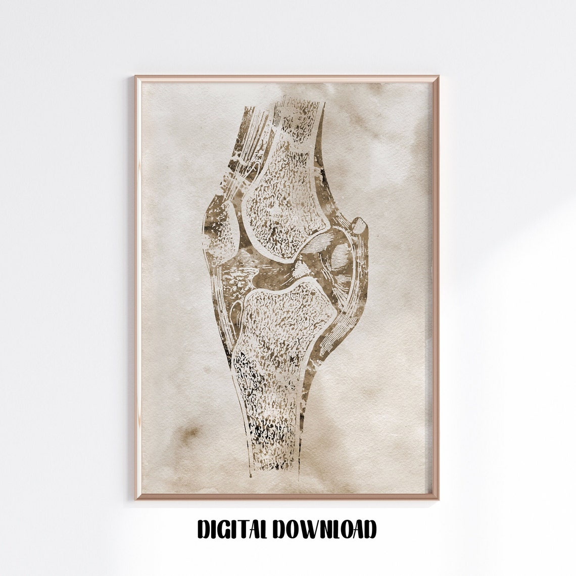 Knee Bone Human Anatomy Orthopedic Skeletal System Leg Bones - Etsy