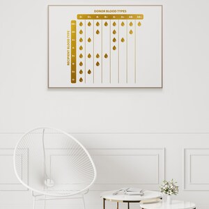 Human Blood Donor Compatibility Chart Biology Hematology A B | Etsy