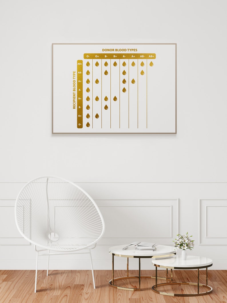 Human Blood Donor Compatibility Chart Biology Hematology A B | Etsy