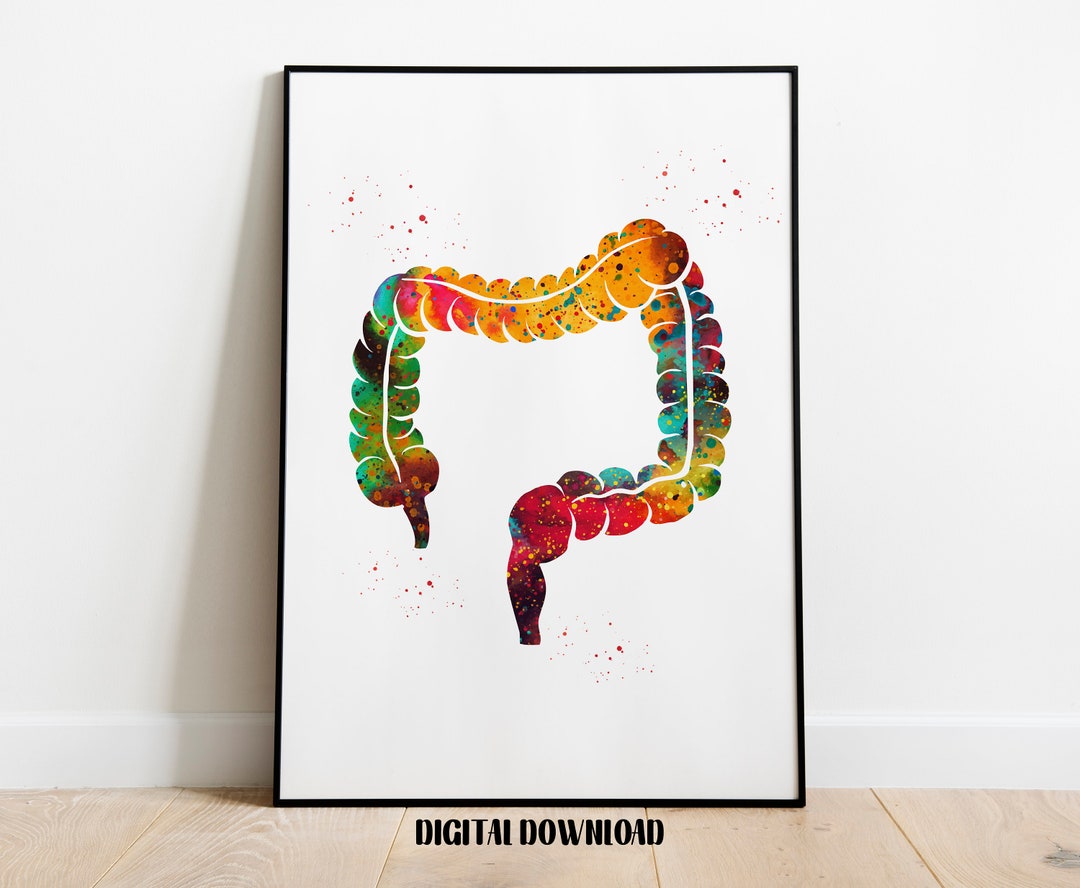 Large Intestine Poster Medical Science Watercolor Digital Printable ...