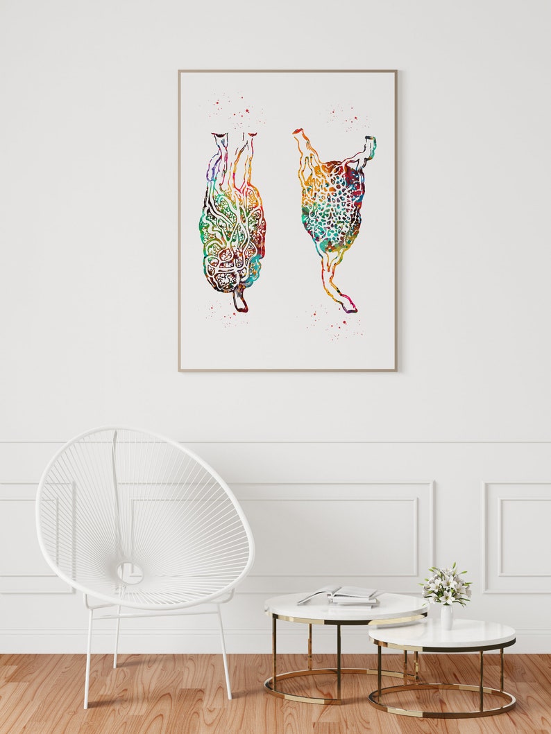 Lymph Node the Anatomical Structure of the Lymph Biology - Etsy