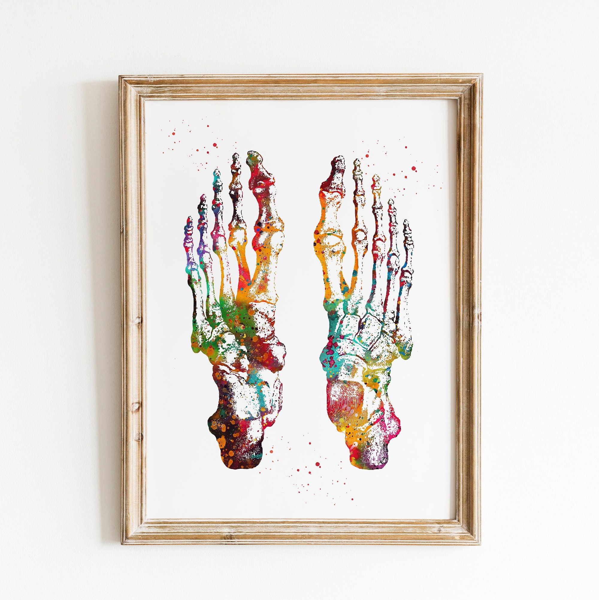 Foot Bones Orthopedic Surgery Skeletal System Anatomy Poster - Etsy