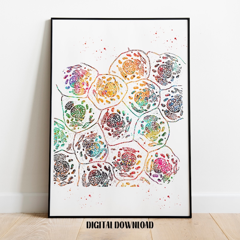 Biology Poster - Etsy