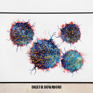 T Cells Human Immunology Biology Poster Medical Science Watercolor ...