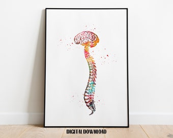 SPINE POSTER, Spinal Column, Human Spine, Anatomy Art, Vertebral Column ...