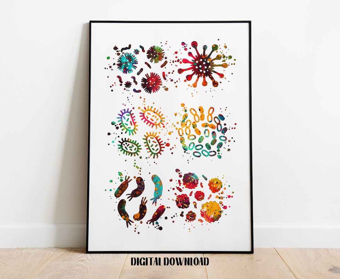 Bacteria Microbiology Virus Biology Bacteriophage Microscopy Clinic ...