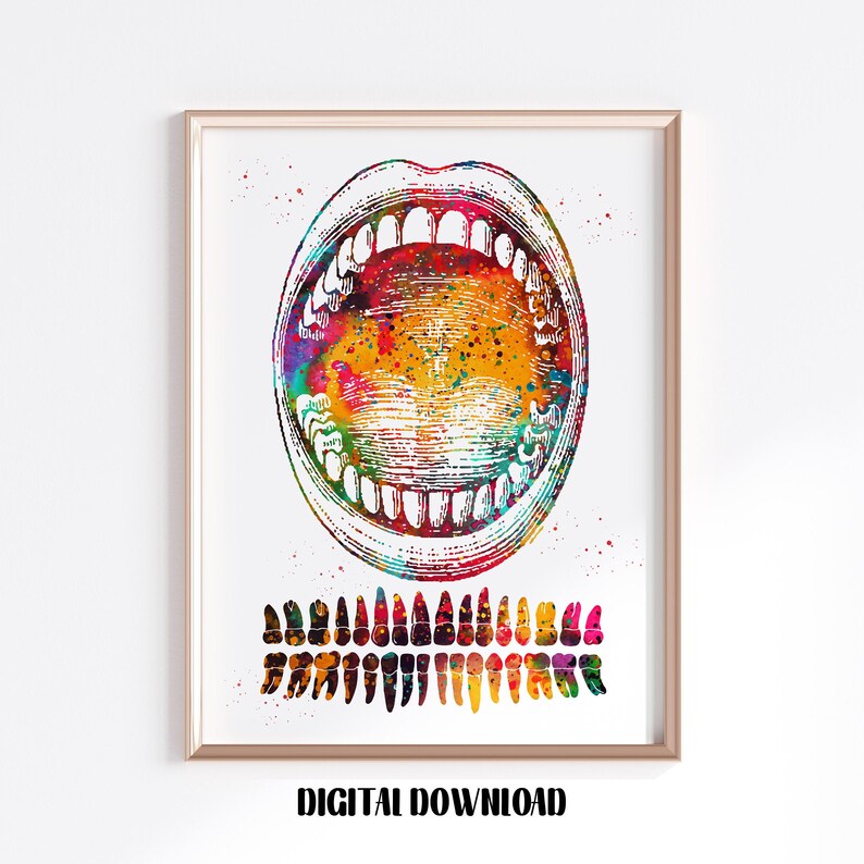 Tooth Chart Human Teeth Dental Hygienist Gift Dentist Teeth - Etsy