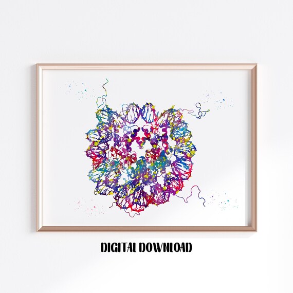 DNA Crystal Structure Poster Medical Science Watercolor - Etsy