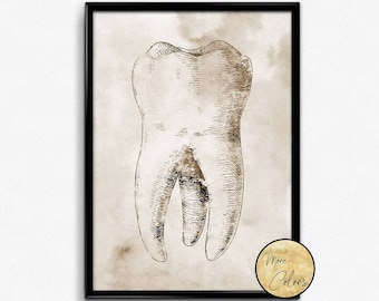 Human Tooth Anatomy Art Medical Dental Illustration Golden Art | Etsy