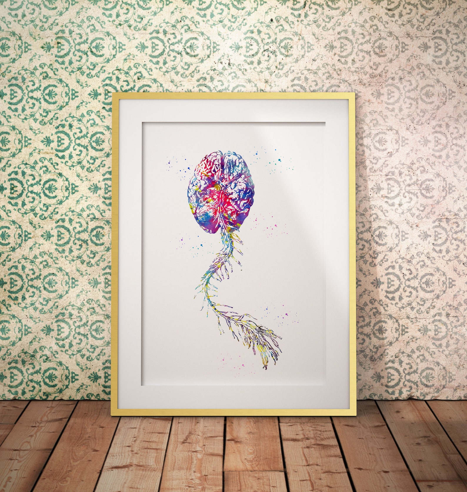 Human Spine With Brain Spinal Cord Anatomy Art Vertebral - Etsy