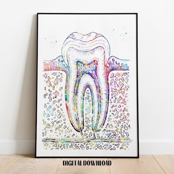 Human Teeth - Etsy