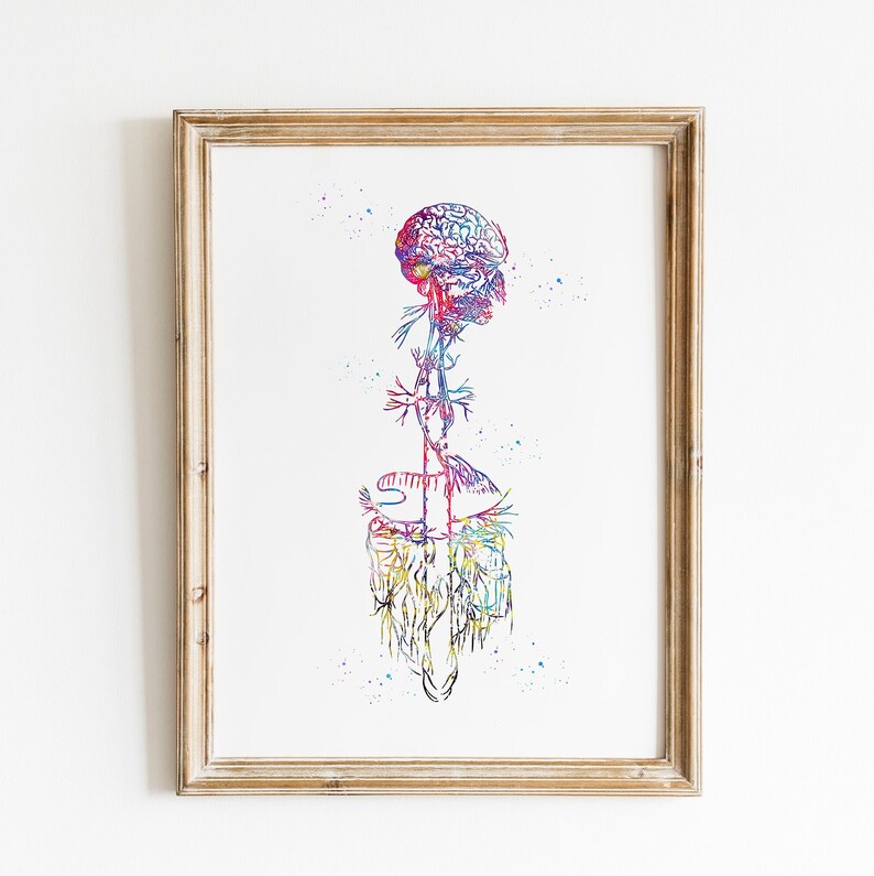Vagus Nerve Art Parasympathetic Nervous System Poster Medical - Etsy