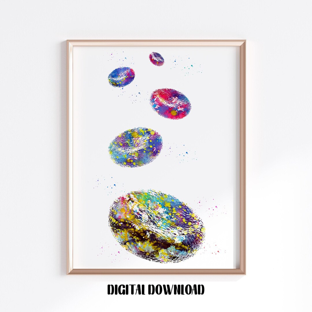Red Blood Cells Blood Histology Hematology Poster Medical - Etsy