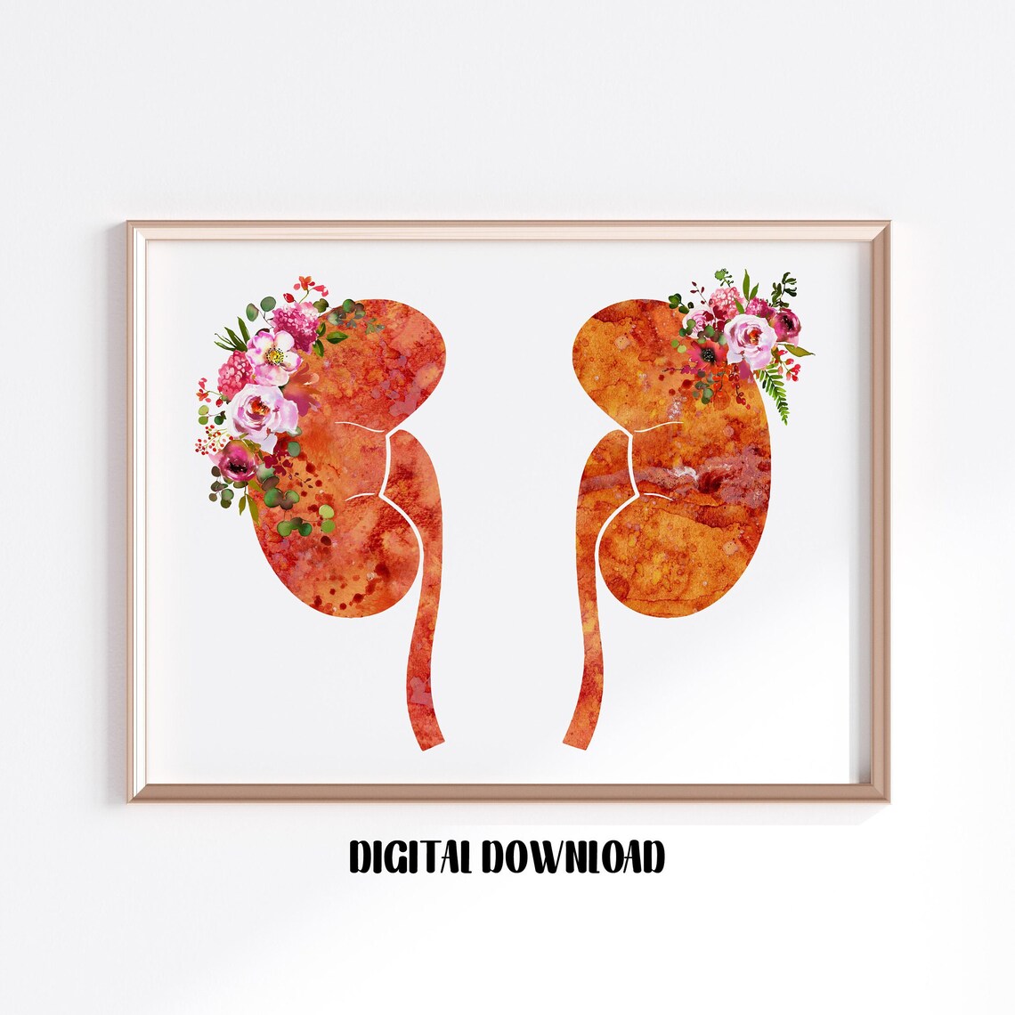 The Kidneys Anatomy Human Kidneys Poster Urology Illustration - Etsy