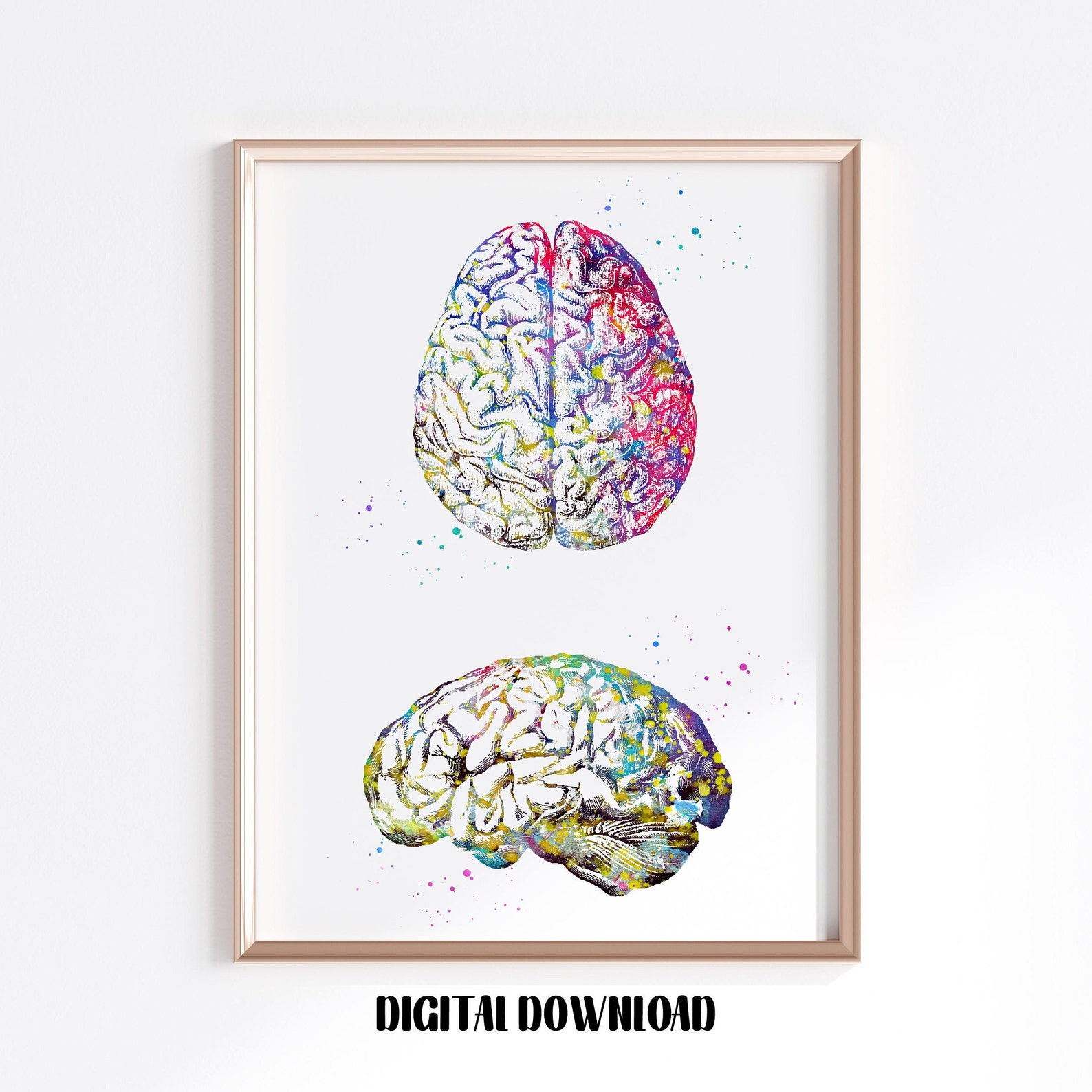 Human Brain Anatomy Poster Medical Science Watercolor Digital - Etsy