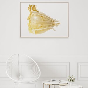 Eye Anatomy Human Eye Optometrist Optician Poster Medical Art - Etsy
