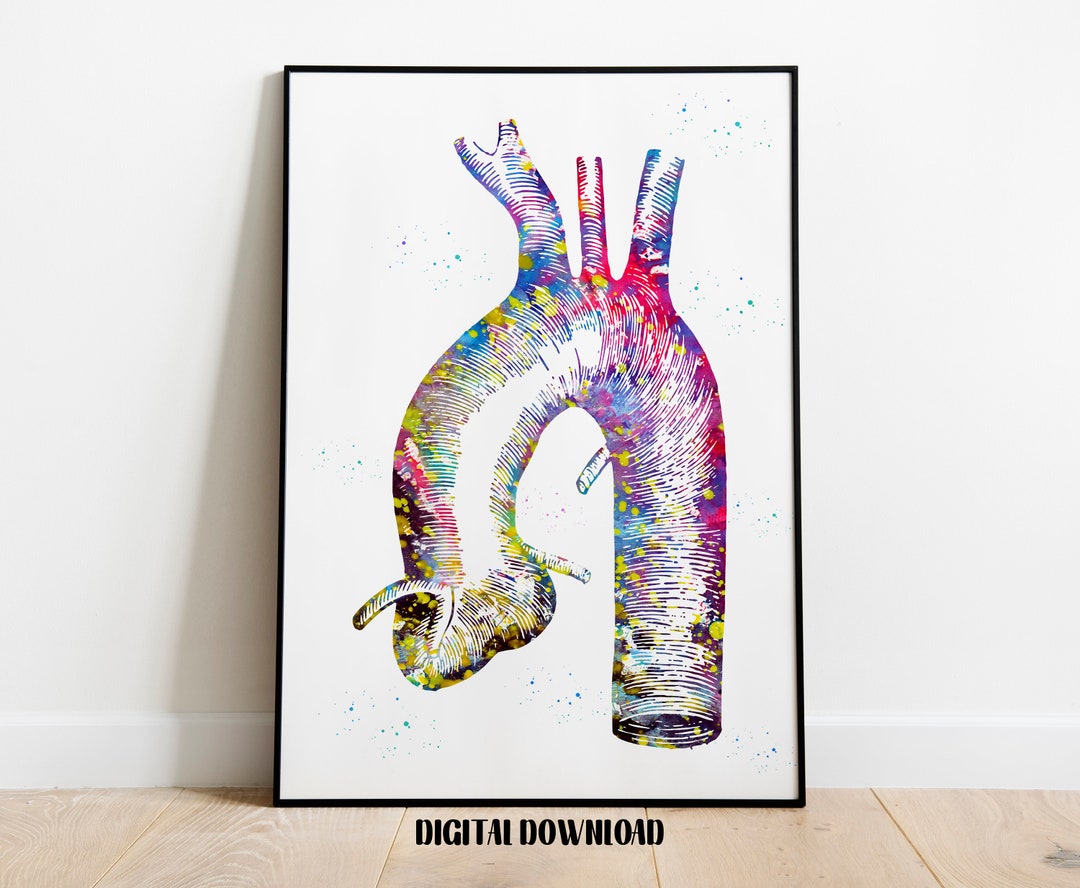 Aorta Connecting Arteries Poster Medical Science Watercolor Digital ...