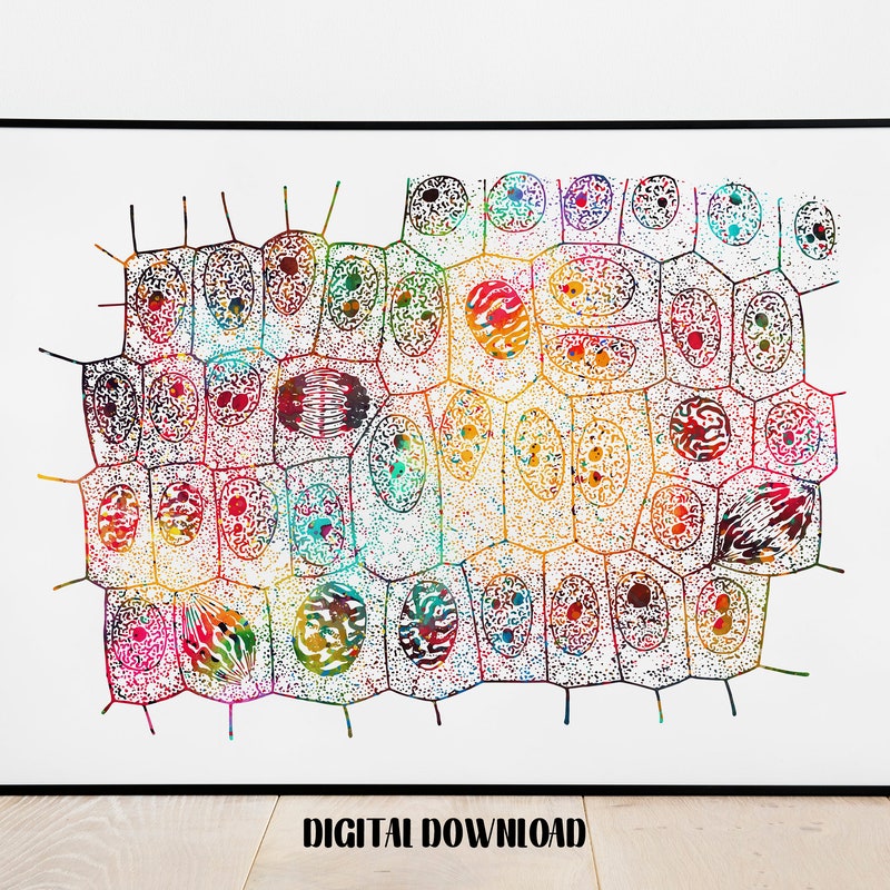 Biology Poster - Etsy