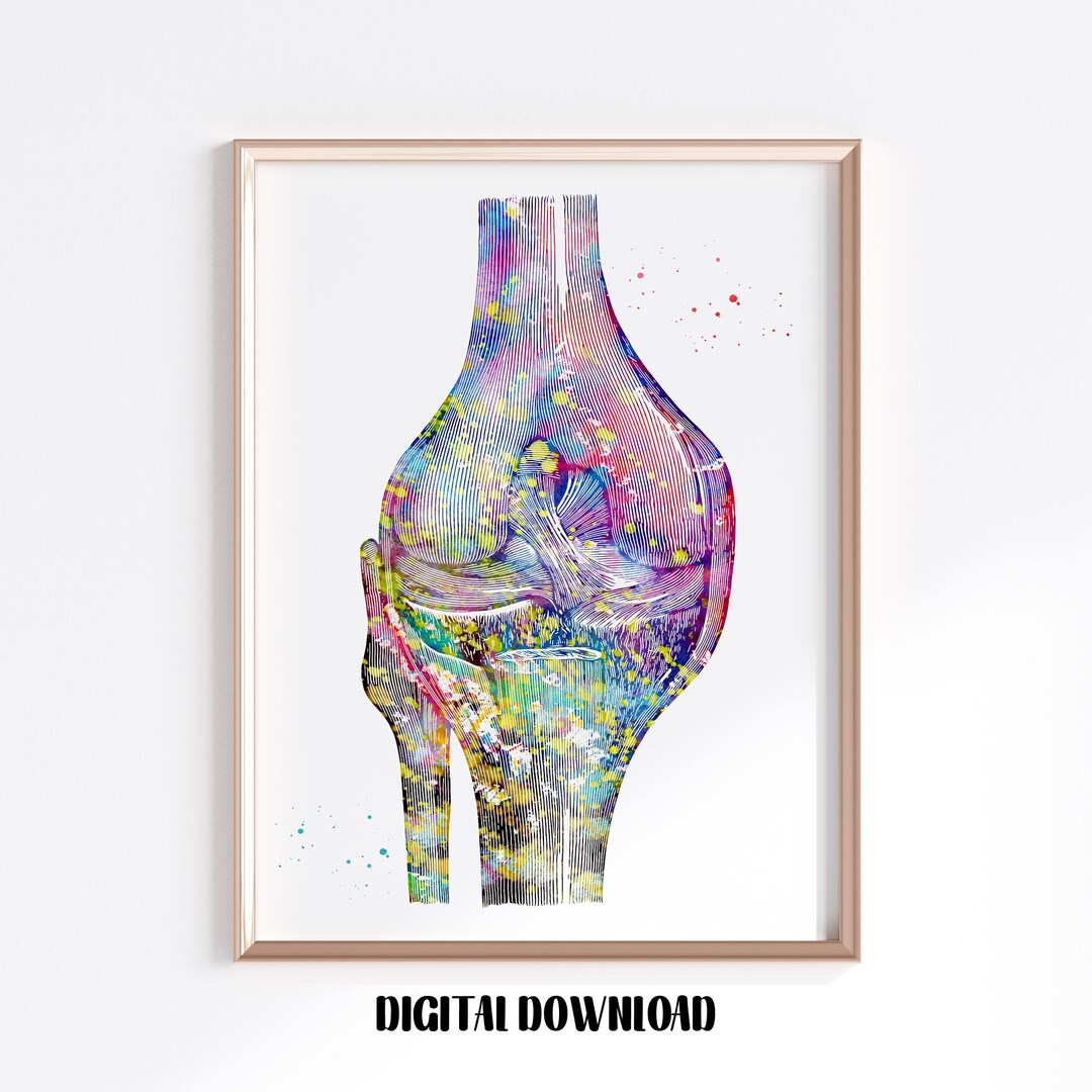 Knee Bone Human Anatomy Orthopedic Skeletal System Leg Bones Poster ...