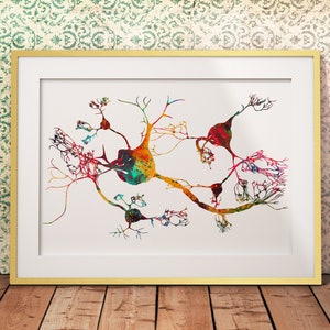 Neurons and Nervous System Organic Nerve Cells Poster Medical Science ...