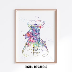 Muscles of the Neck Poster Medical Science Watercolor Digital - Etsy