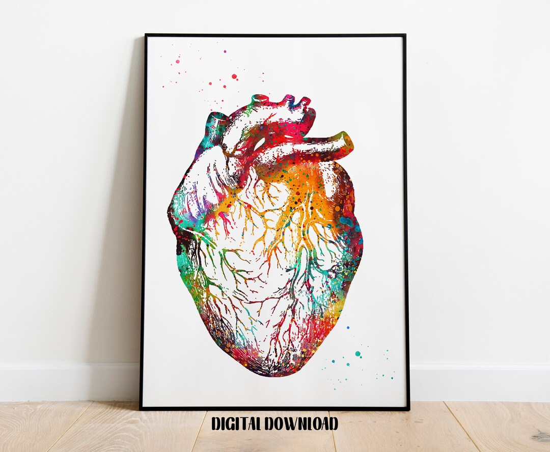 Human Heart Poster Anatomy Surgery Anatomical Medical Science ...