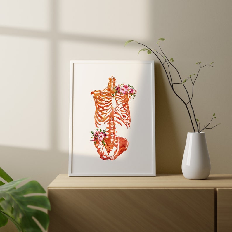 Skeleton Torso Human Skeleton Anatomy Art Medical Science - Etsy