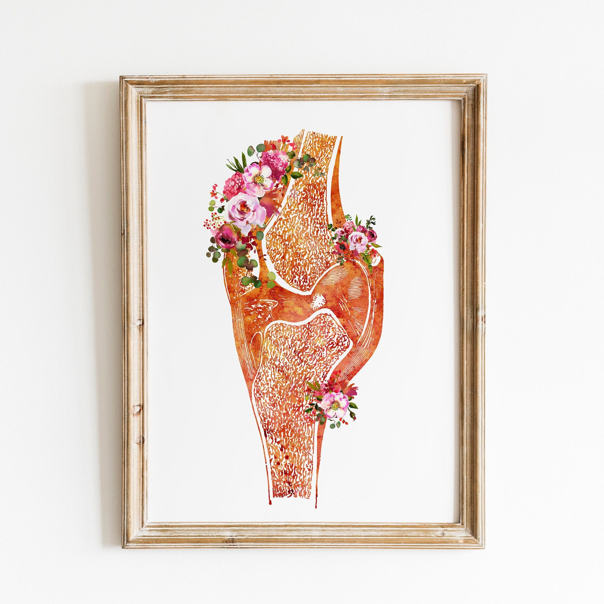 Knee Bone Human Anatomy Orthopedic Skeletal System Leg Bones - Etsy