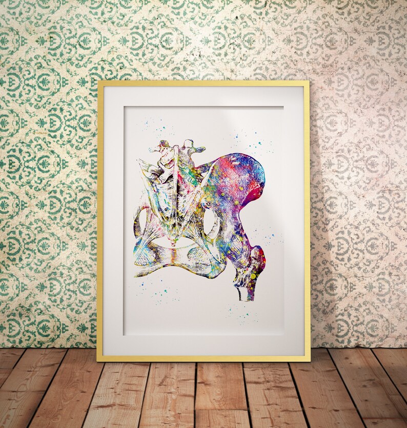 Hip Bone Ligaments and Joint Poster Medical Science Watercolor - Etsy