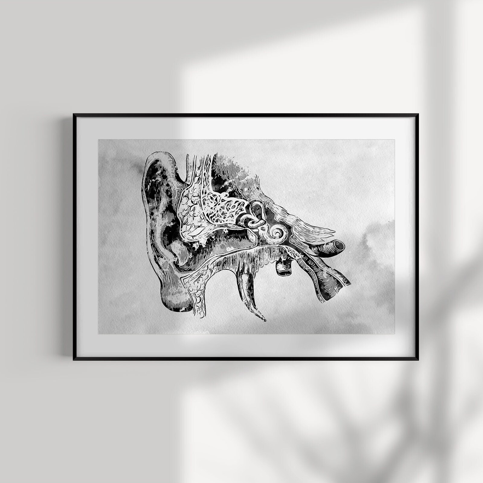 Human Ear Anatomy Watercolor Audiology Poster Cross Section of - Etsy