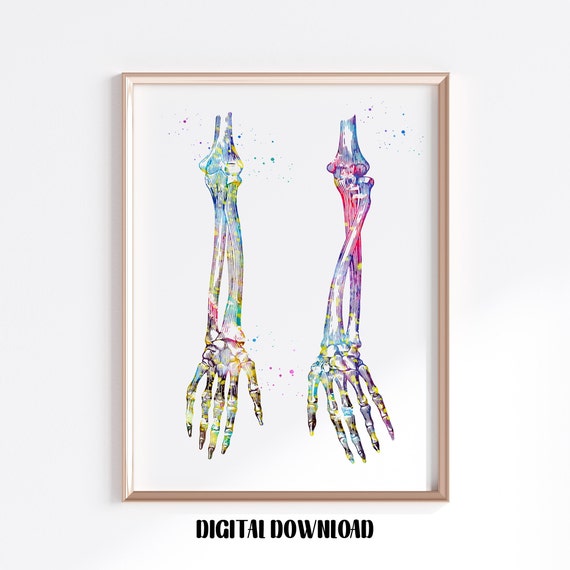 Printable Skeleton Arms