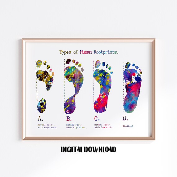 Types of Footprints Orthopedics Art Podiatry Decor Biology - Etsy