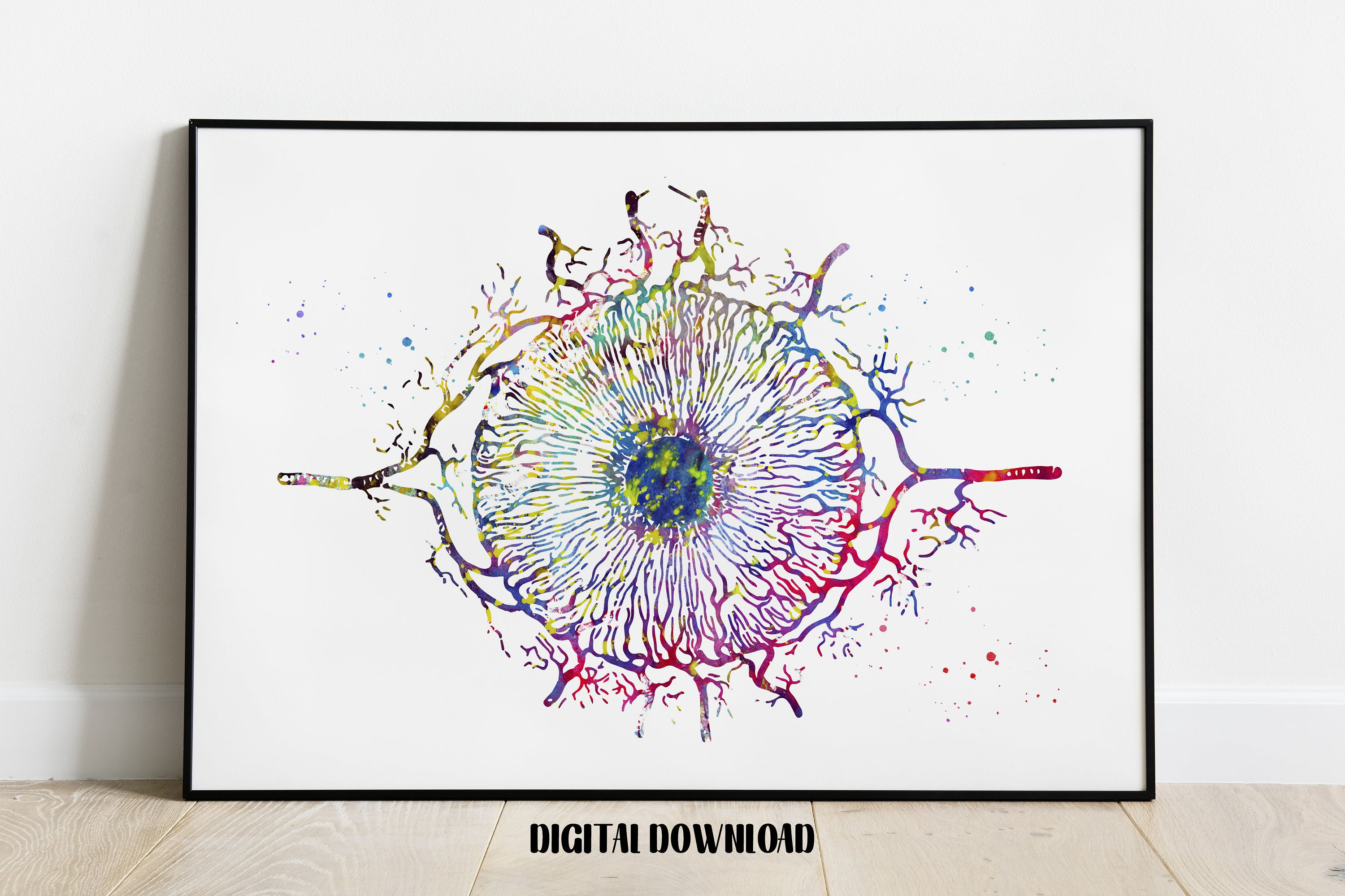 Iris Human Eye Optometrist Optician Ophthalmology Poster - Etsy