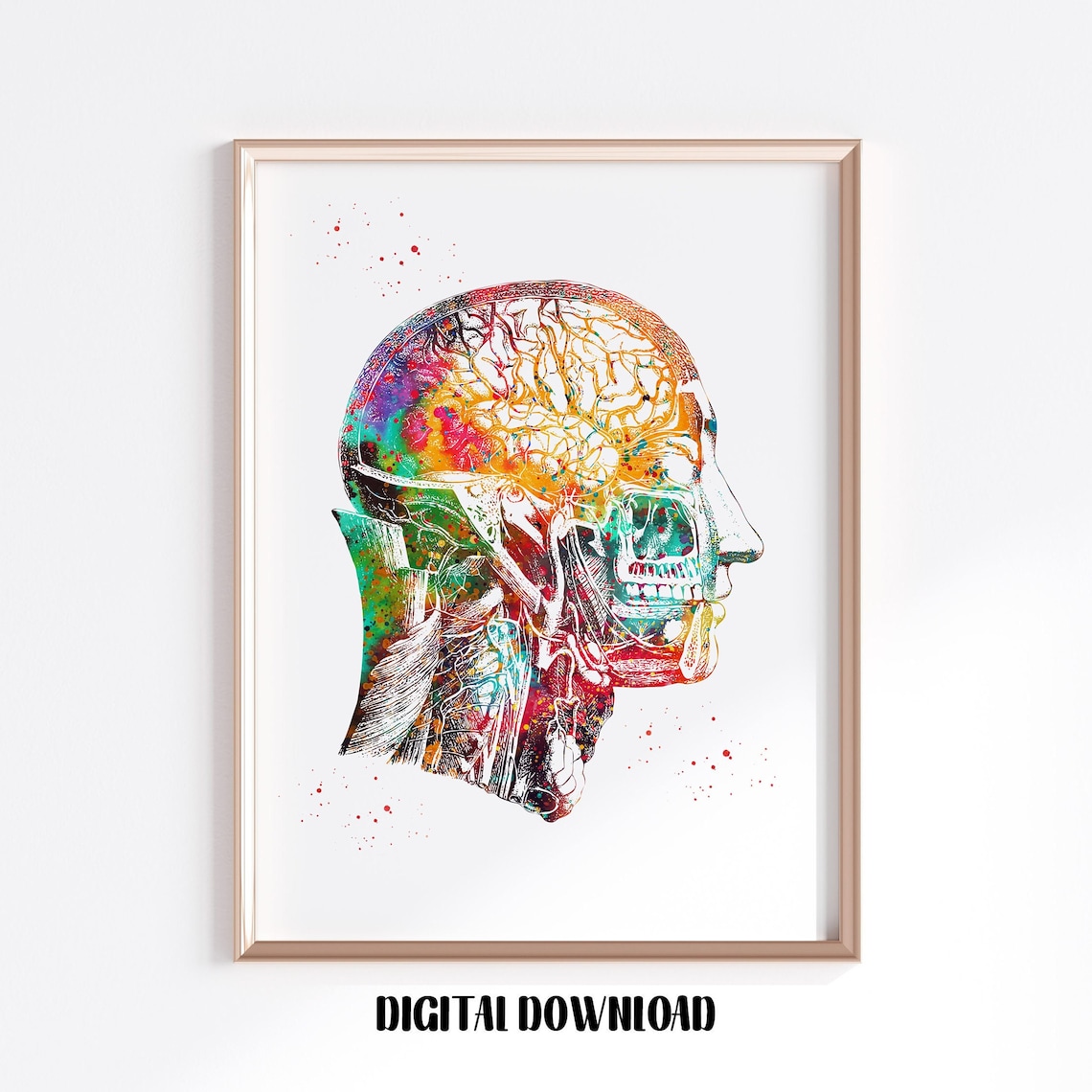 Head Anatomy Art Vascular System of Head and Brain Poster - Etsy
