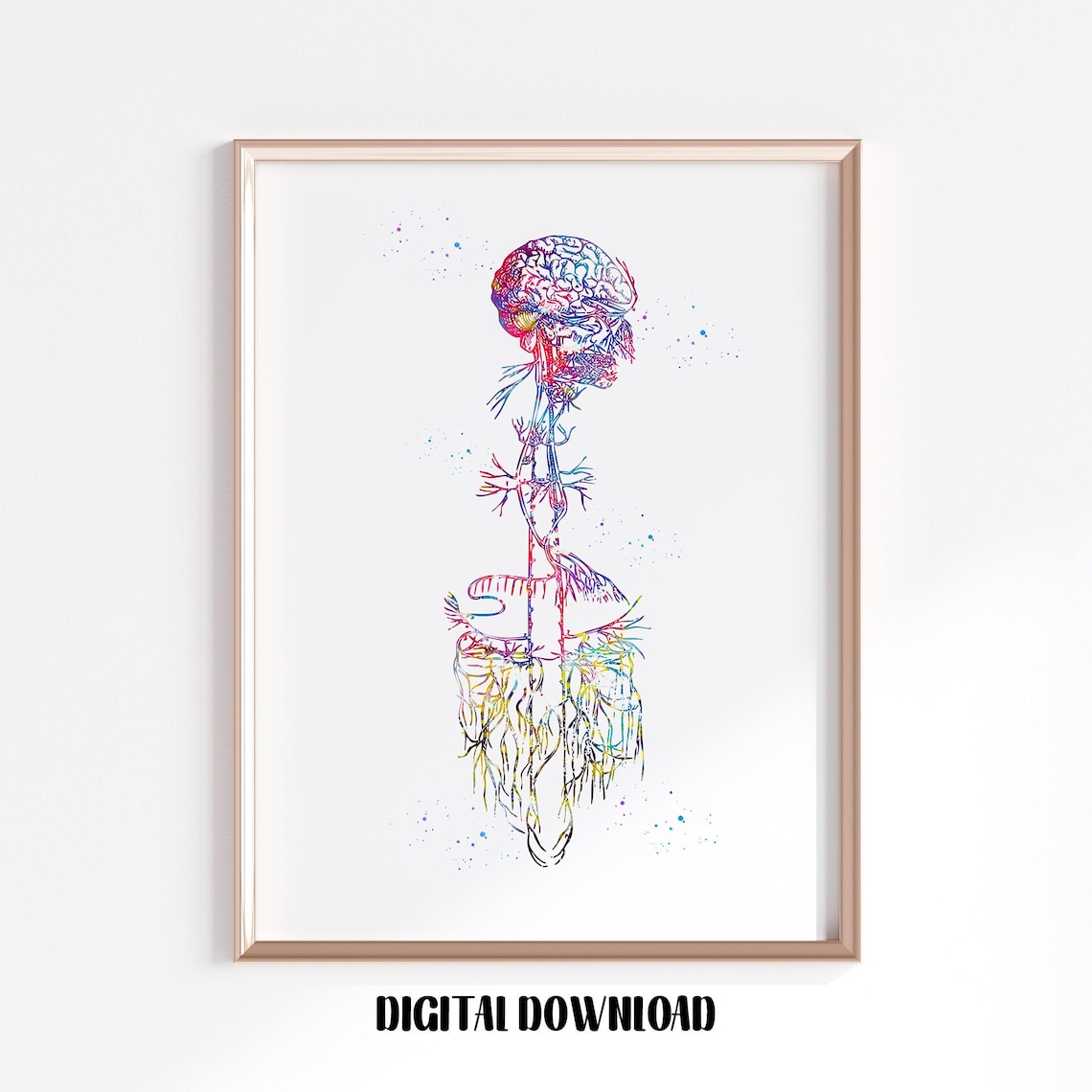 Vagus Nerve Art Parasympathetic Nervous System Poster Medical - Etsy