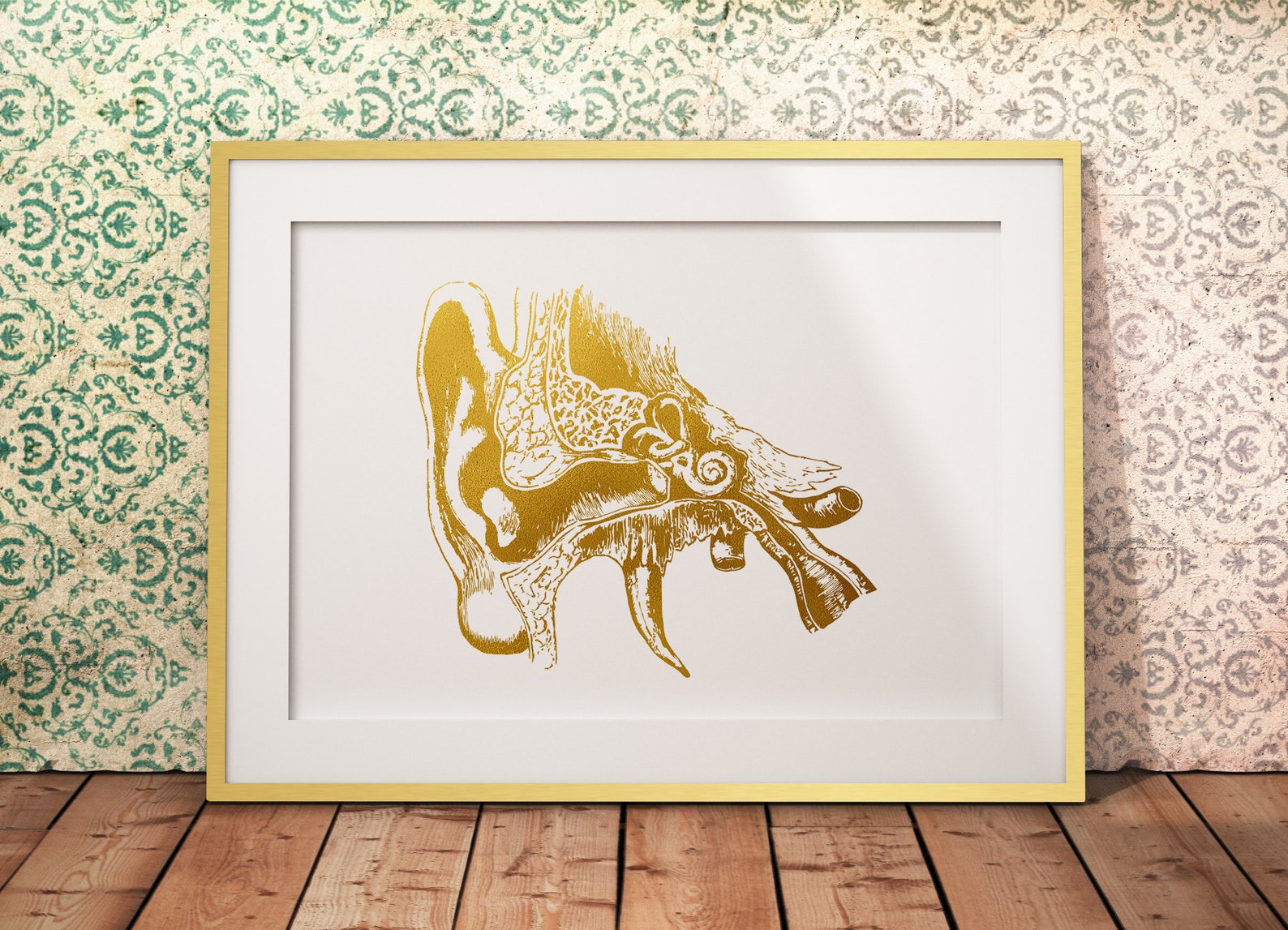 Human Ear Anatomy Audiology Poster Cross Section of Ear Golden - Etsy