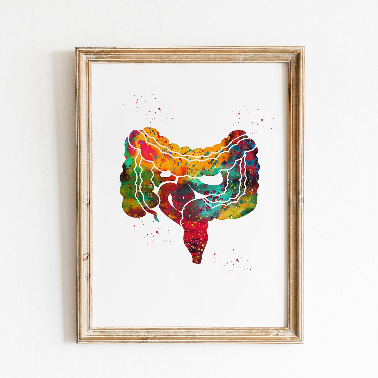 Large and Small Intestine Poster Medical Science Watercolor - Etsy