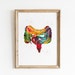 Large and Small Intestine Poster Medical Science Watercolor Digital ...