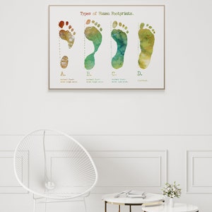 Types of Footprints Orthopedics Art Podiatry Decor Biology Poster ...