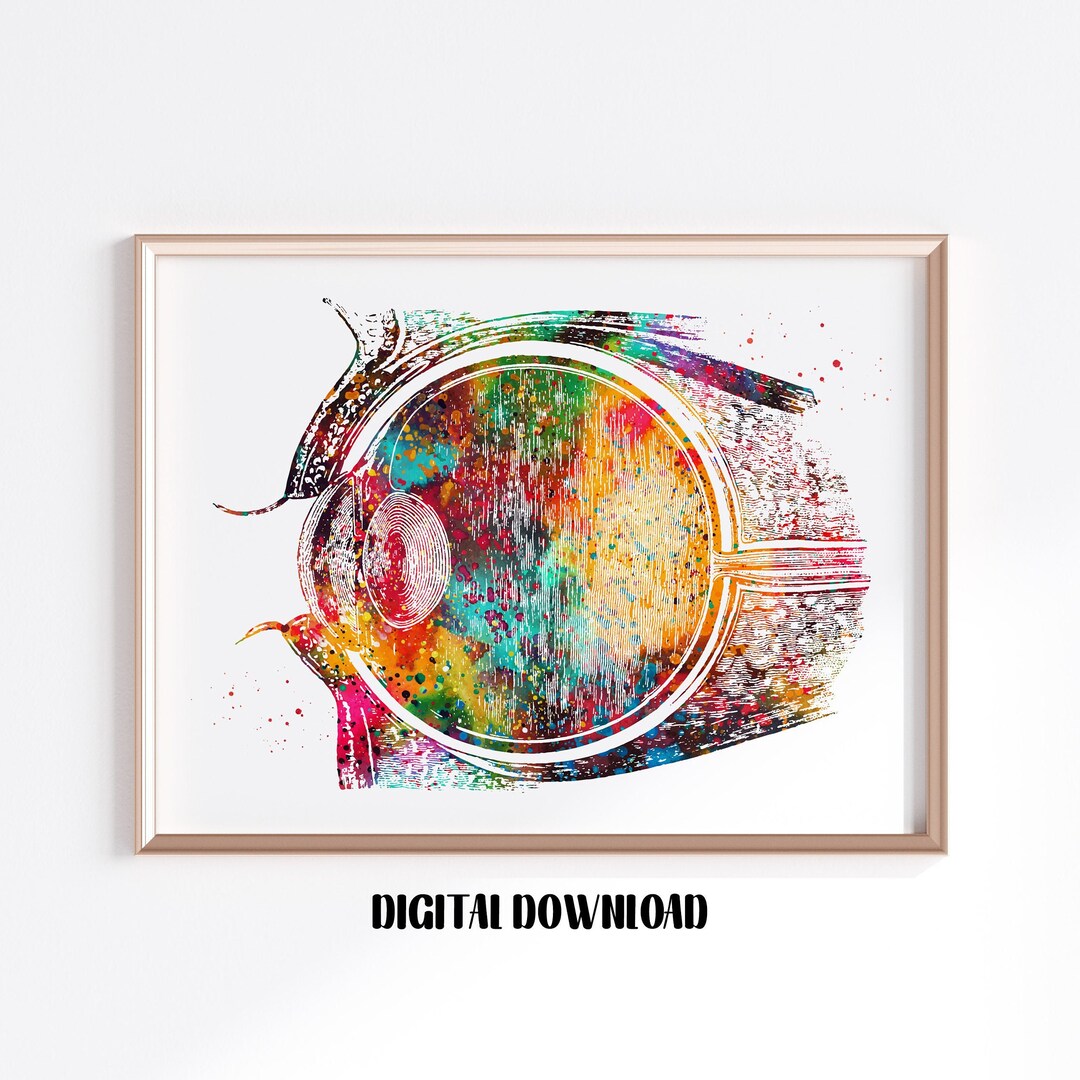 Eye Anatomy Human Eye Optometrist Optician Poster Medical Art - Etsy