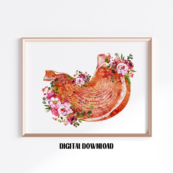 The Stomach Poster Anatomy Art Stomach Illustration Abstract - Etsy