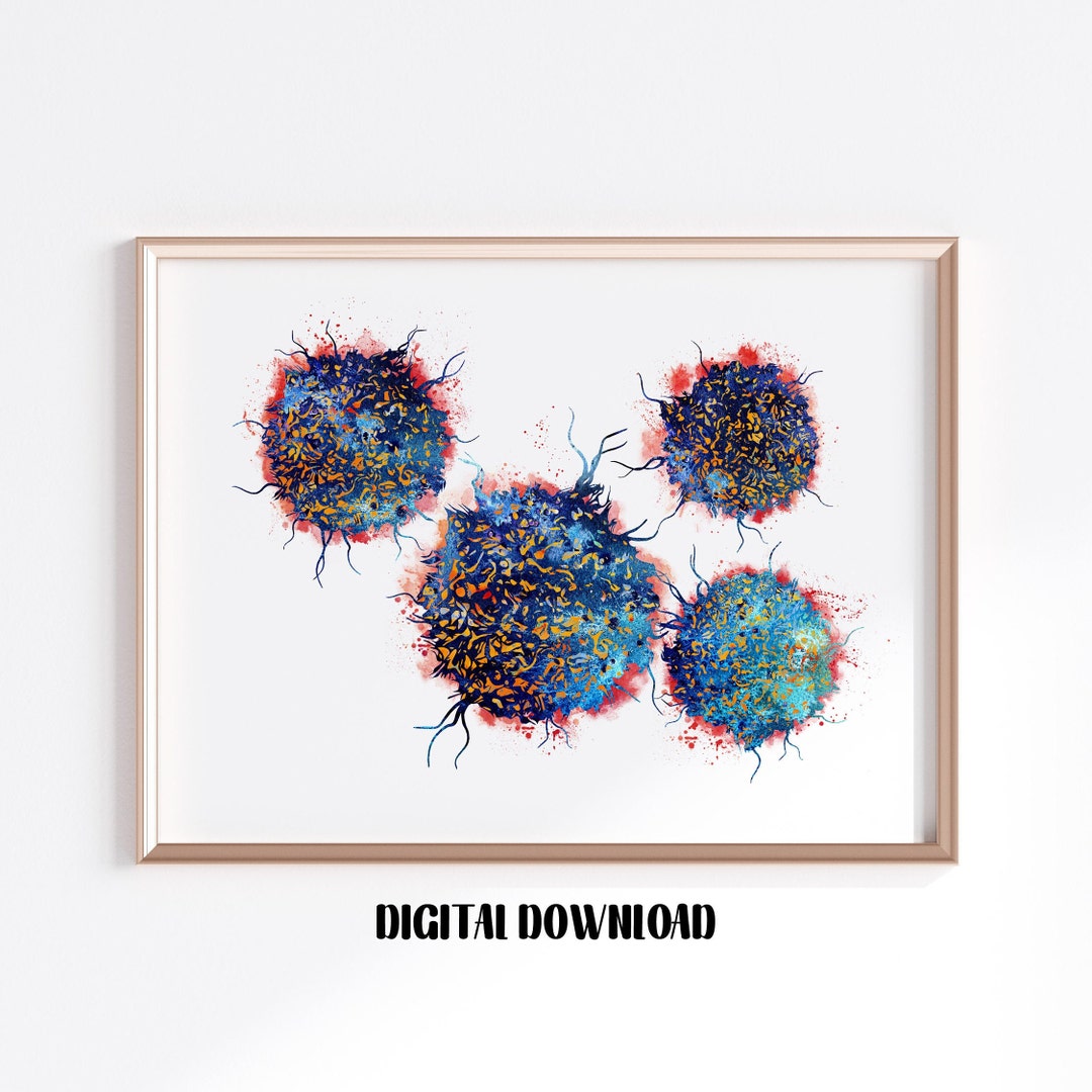 T Cells Human Immunology Biology Poster Medical Science - Etsy