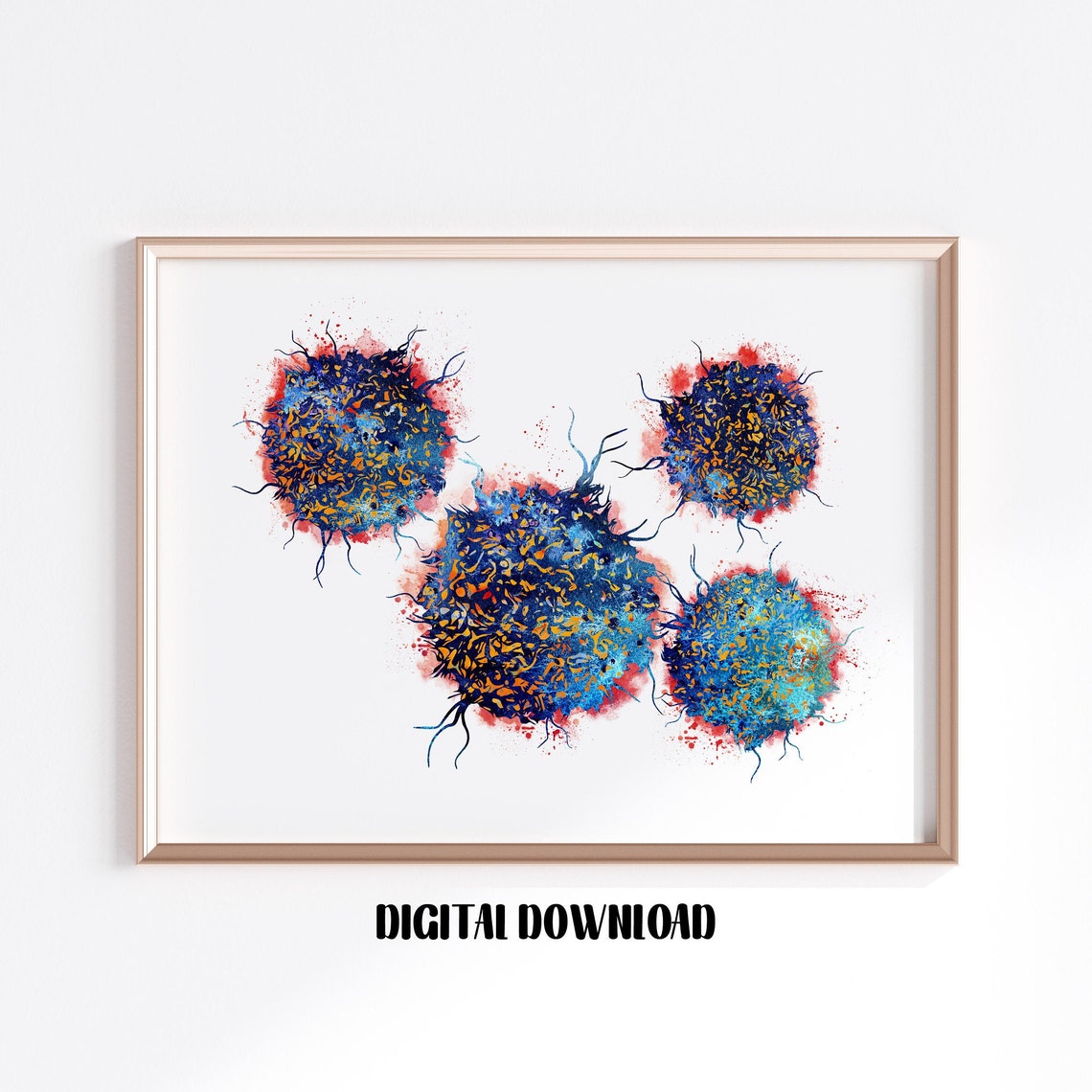 T Cells Human Immunology Biology Poster Medical Science - Etsy