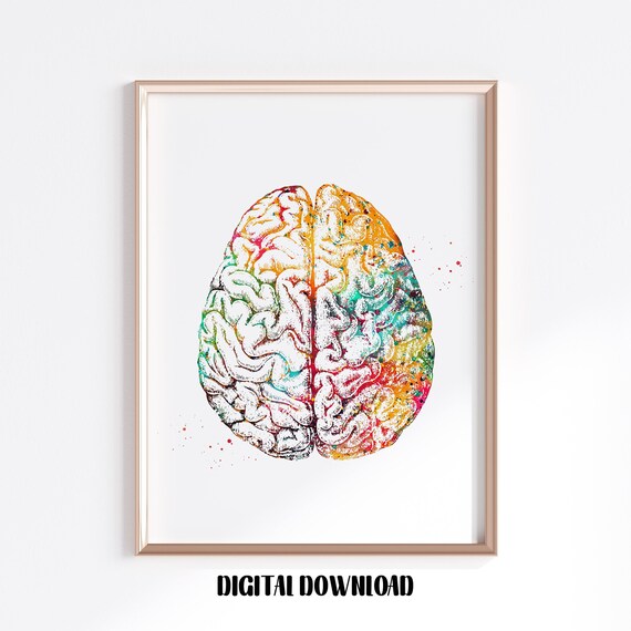 Human Brain Poster Medical Science Watercolor Digital - Etsy