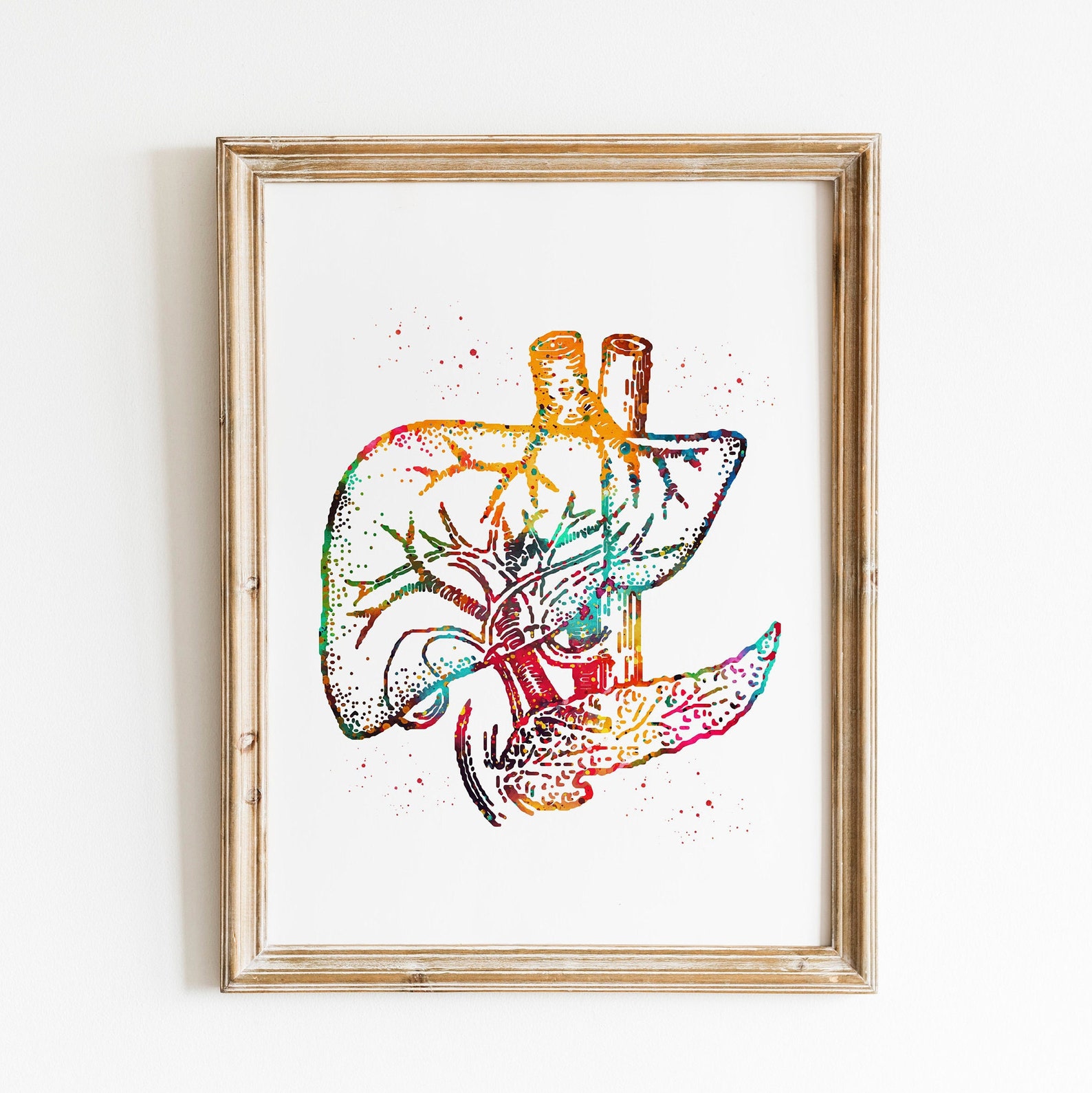 Human Liver Poster Medical Science Watercolor Digital Printable ...