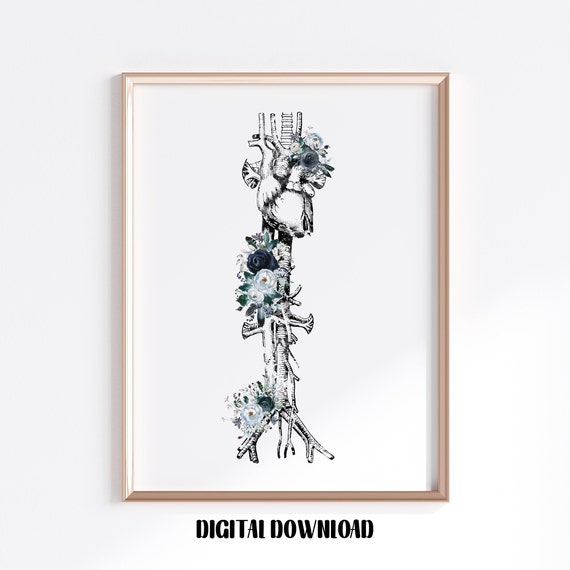 Aorta Vein and Heart Poster Anatomy Surgery Medical Science - Etsy