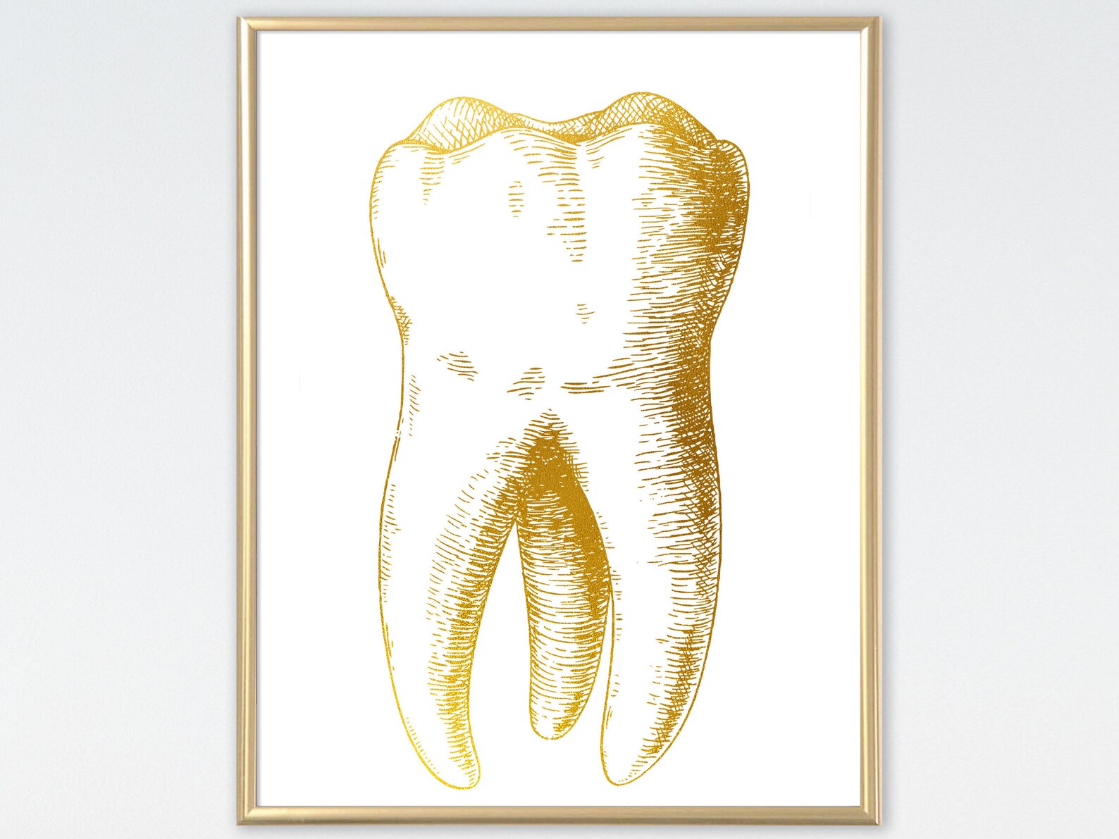 Human tooth anatomy art medical dental illustration Golden Art | Etsy