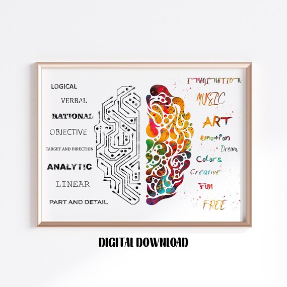 Left and Right Brain Function Brain Poster Medical Science | Etsy
