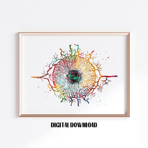 Human Eye Print Digital Download Optometrist Gifts Anatomy - Etsy